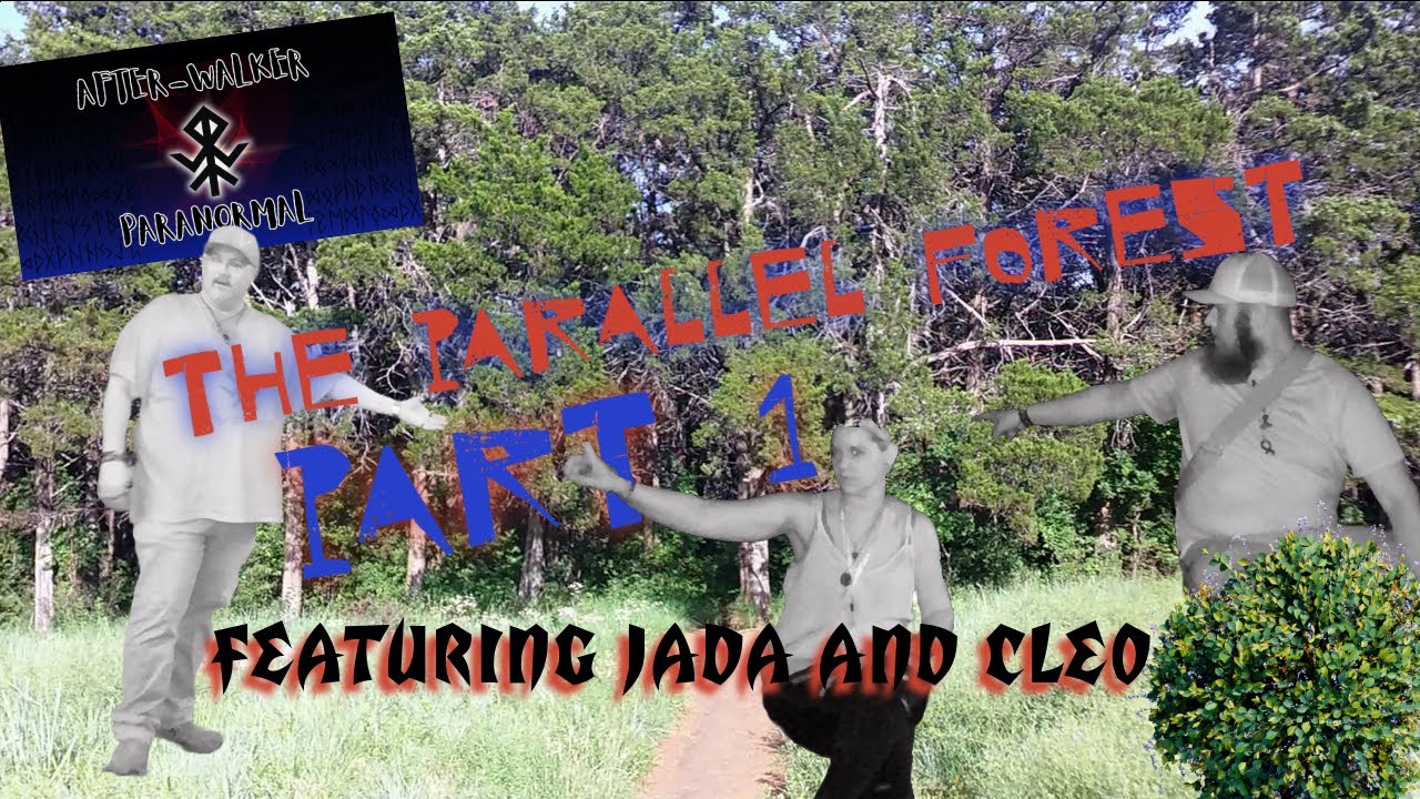 Parallel Forest Investigation with Jada and Cleo (Part 1) - YouTube