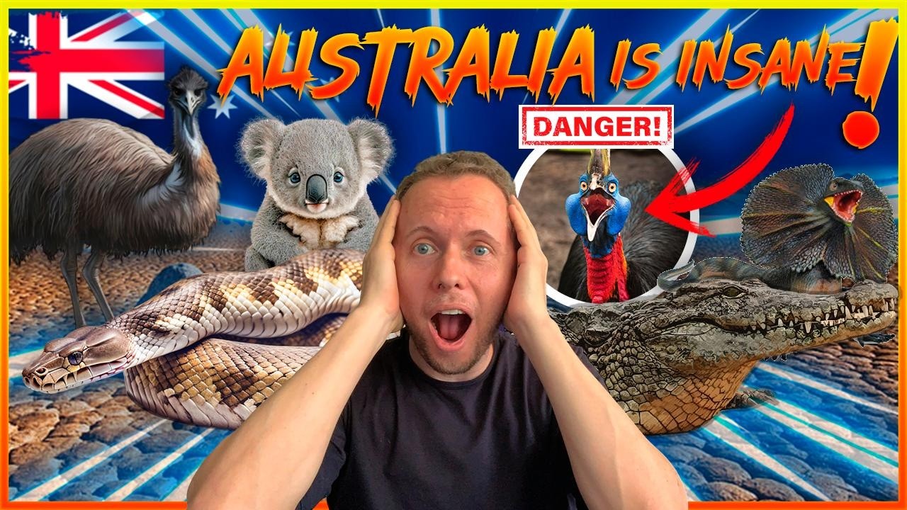 Reacting to 50 CRAZY & DANGEROUS Australian Animal Moments | Wild ...