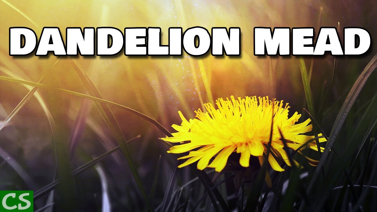 Easy Dandelion Mead Recipe at Home! - YouTube