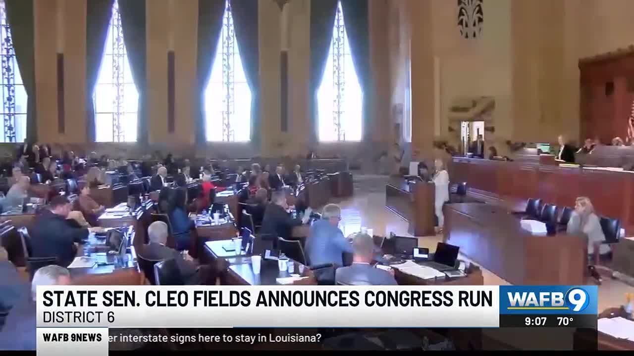 Cleo Fields announces run for Congress in new second Black majority district - YouTube