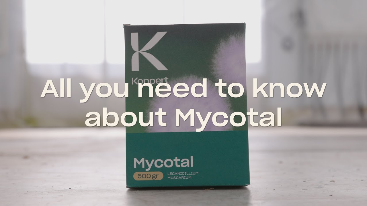 Everything you need to know about Mycotal: FAQ - YouTube