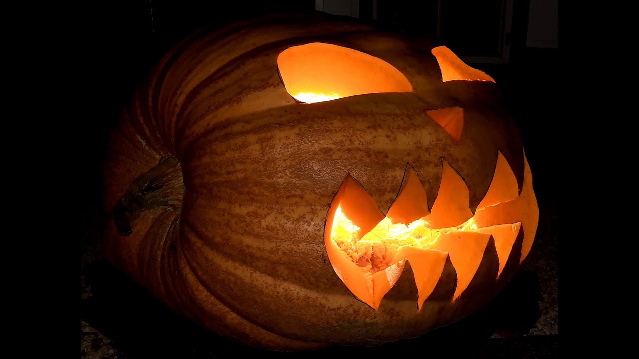 How to carve a 600 kg Giant Pumpkin and take a look inside! - YouTube