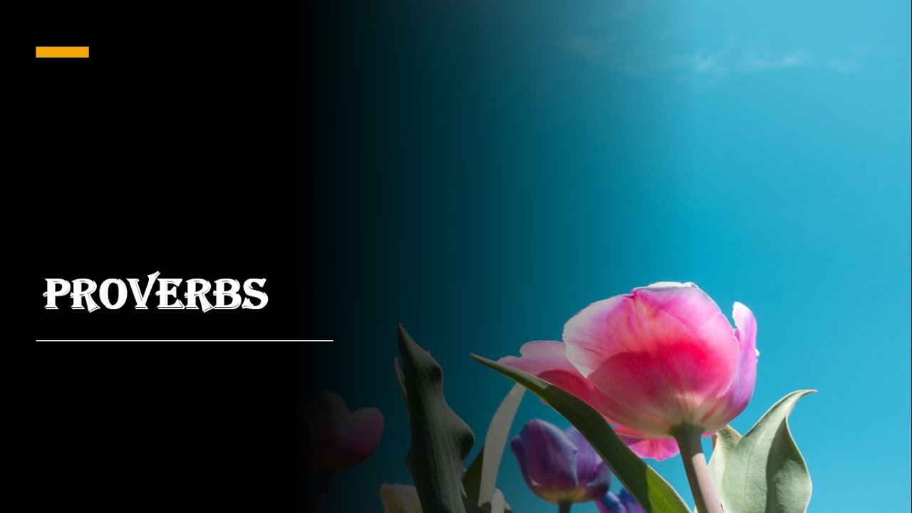 PROVERBS \ MAXIMS \ SAYINGS : MEANINGS & EXAMPLES - YouTube