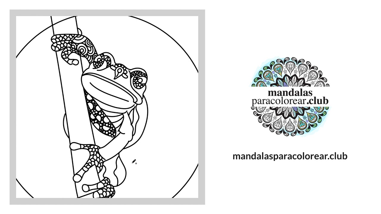 Dibujando un Mandala o Zentangle de Rana - YouTube