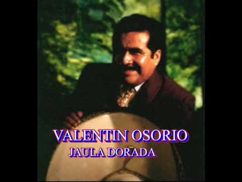 VALENTIN OSORIO JAULA DORADA - YouTube