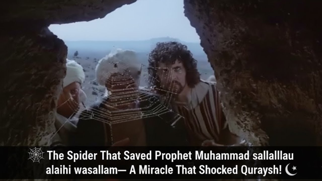 ⭐ “🕸️ The Spider That Saved Prophet Muhammad ﷺ — 🌙 A Miracle That ...