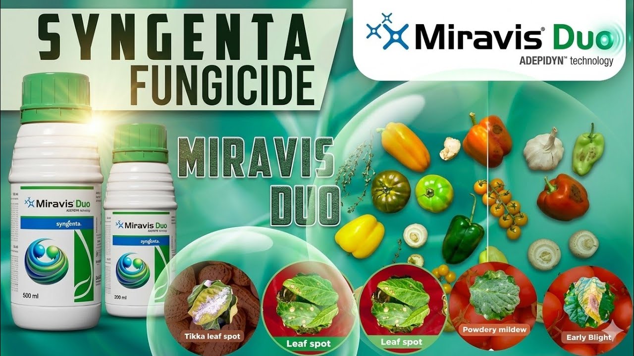 Miravis duo Syngenta || Miravis duo Fungicide - YouTube