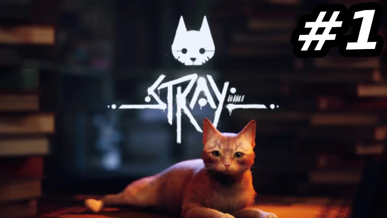 STRAY GAMEPLAY || THE CAT ADVENTURE 💫 - YouTube