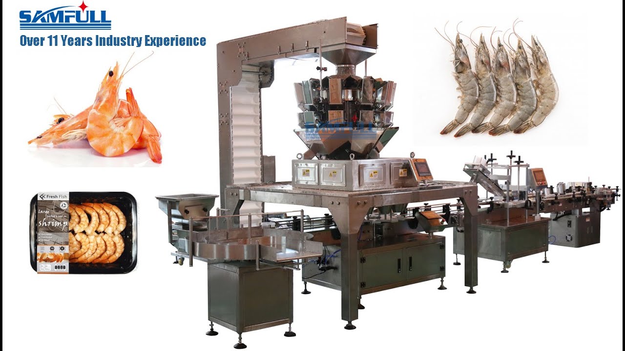How to weighing and filling shrimp in tray, fresh shrimp packaging ...
