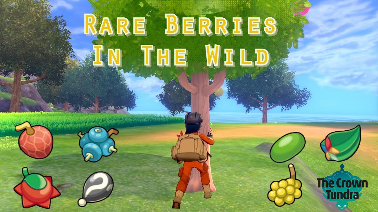 All Rare Berry Tree Location in Crown Tundra Wild Area - YouTube