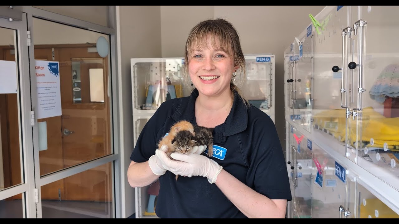 Team SPCA says ‘thank you’ for everything in 2024! - YouTube