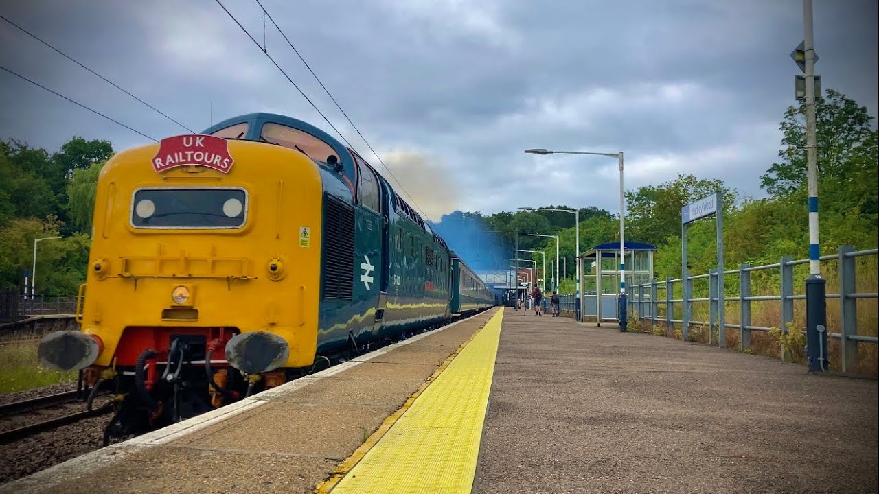 BR Blue Deltic 55013 'The Black Watch' THUNDERS Through Hadley Wood ...
