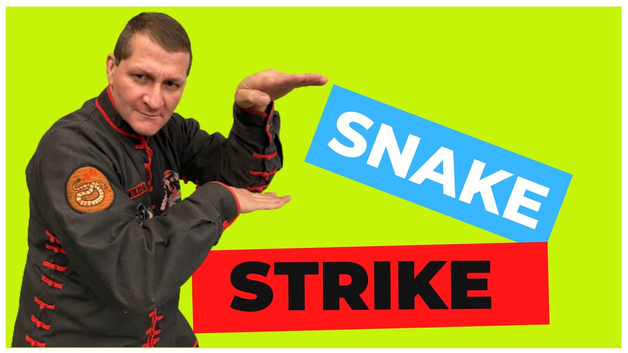 Snake Strike can be quite powerful it is one of the strikes of Kung Fu ...