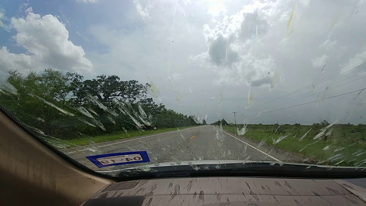 TEXAS TRUMPNADO - Smelly Burnt Moths Splat driving in maga Texas Moth ...