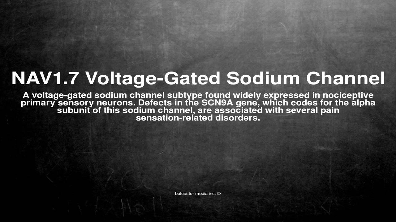 Medical vocabulary: What does NAV1.7 Voltage-Gated Sodium Channel mean ...
