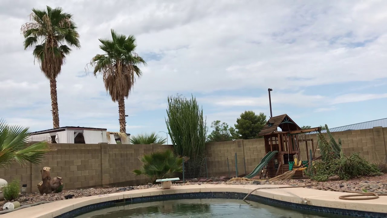 good Morning by the Pool Chat and Upcoming Q & A Video - YouTube