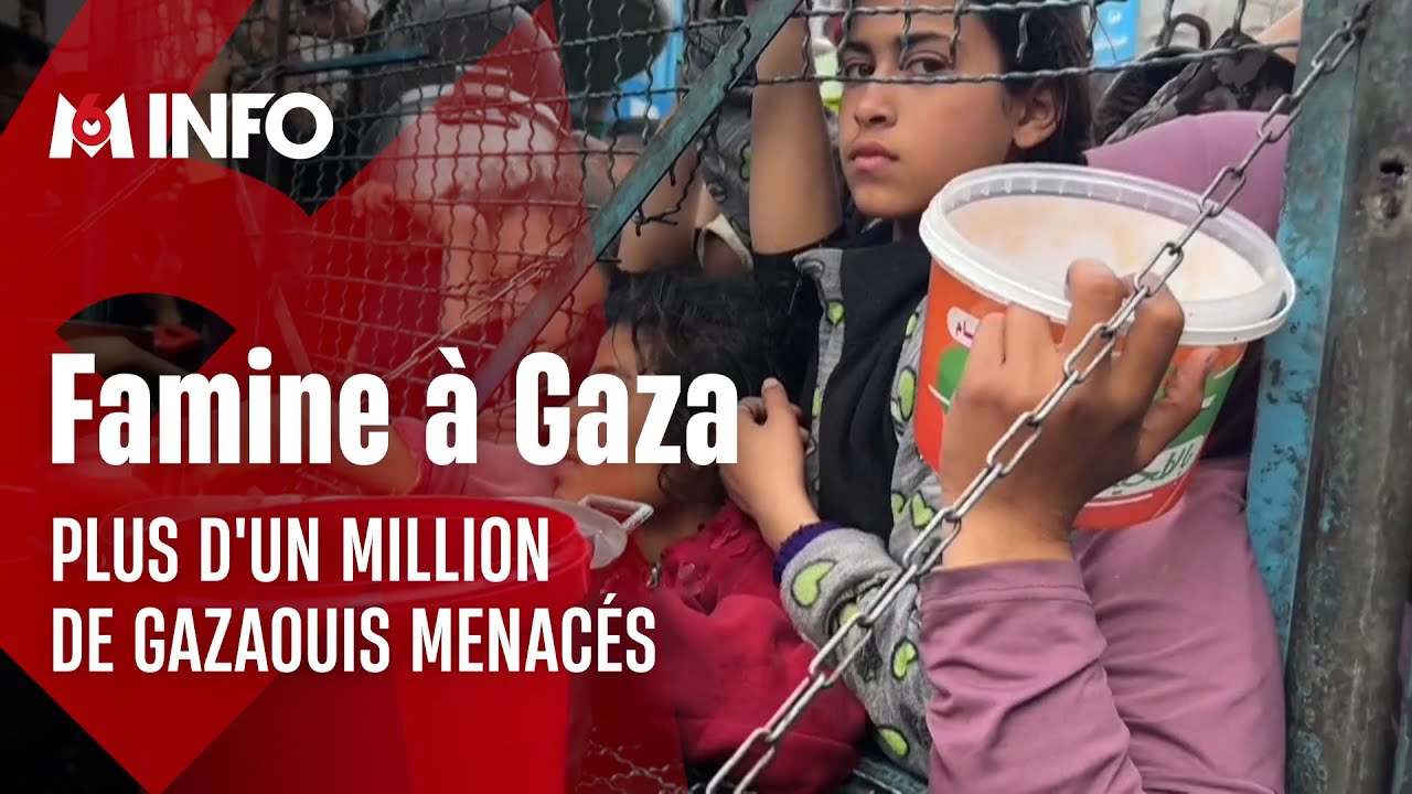 Gaza au bord de la famine - YouTube