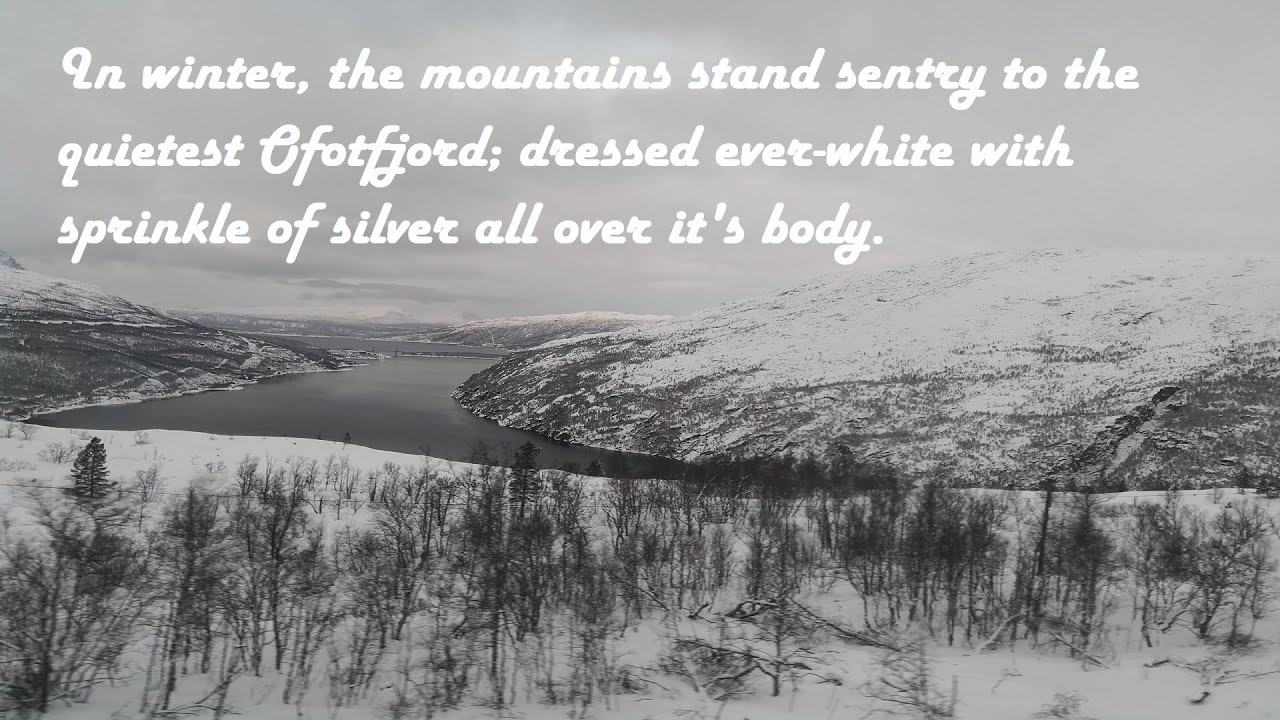 NORWAY, Narvik Fjord, Ofotfjord, Travel, Nordic Country, Scandinavian ...