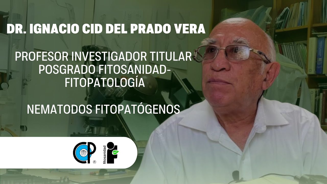 Entrevista Dr. Ignacio Cid del Prado Vera - YouTube