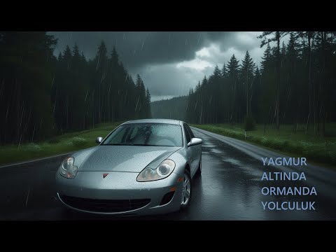 Yağmurda Ormanda Yolculuk | Journey through the Forest in the Rain | relaxing sound for sleeping