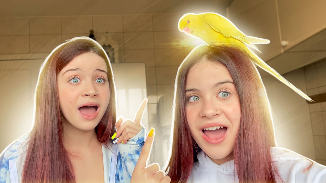 VLOG - O NOVO INTEGRANTE DA FAMÍLIA! (Muito fofo!) - YouTube