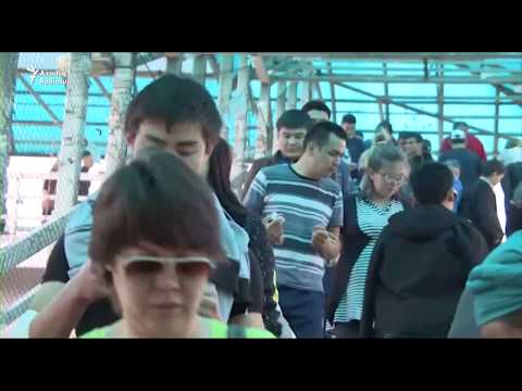 Qazaxları cənubdan şimala köçürürlər