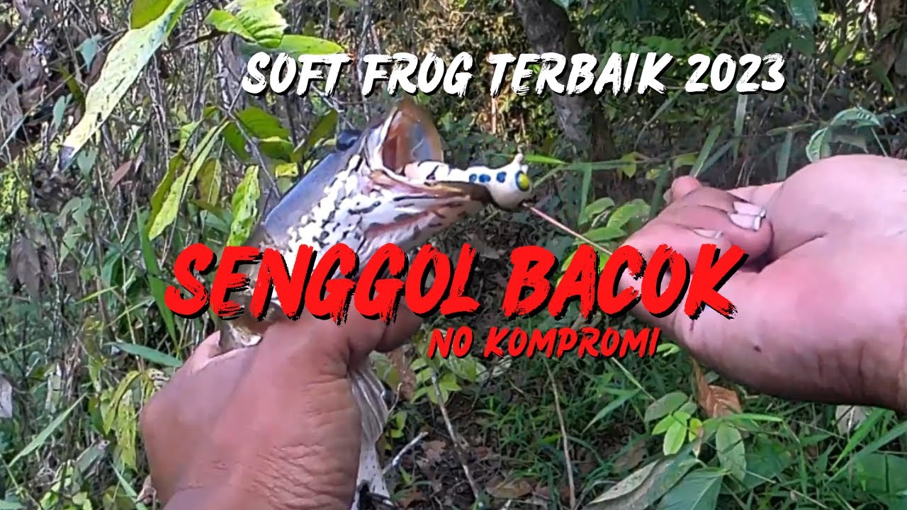 SENGGOL BACOK ⛔️ SOFT FROG TERBAIK 2023 - TERBUKTI AMPUH #softfroggabus ...