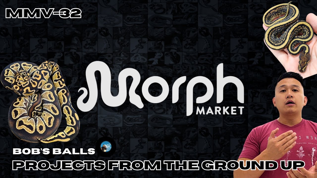 Building Dinker Projects Like A PRO With Bob Vu - YouTube