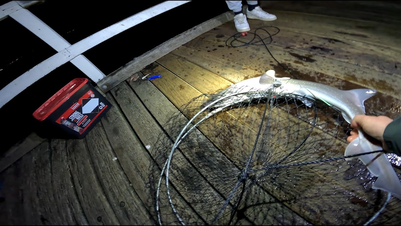 Unforgettable Night Fishing at Lagoon Pier: A Catch to Remember - YouTube