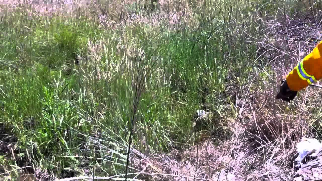 ACT RFS BF Training 2 - YouTube