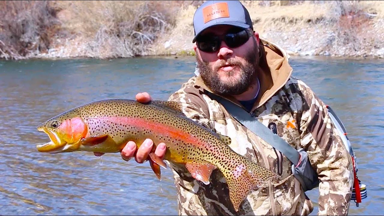 CATCHING BEAUTIFUL BUCK BOWS - YouTube