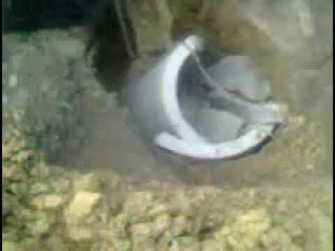 Клакани - YouTube