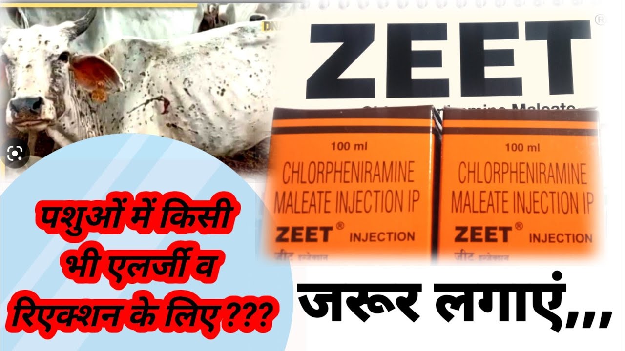 ZEET INJECTION जीट इंजेक्शन | Elergy Reaction | पशुओं में किसी भी तरह ...