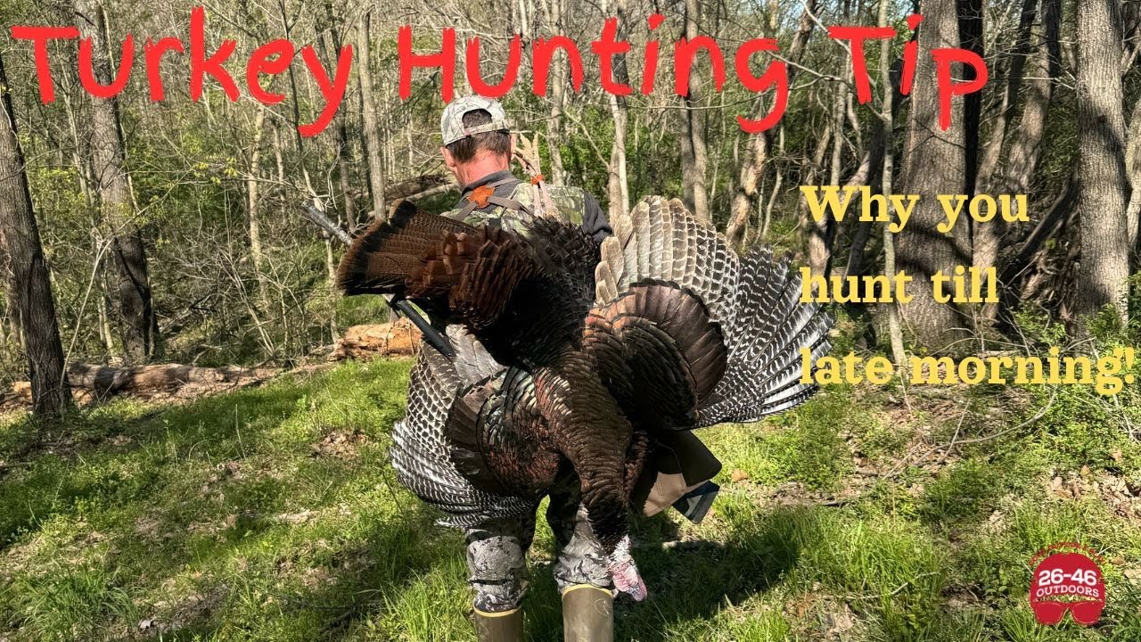 Turkey Hunting Tip: Why you hunt till late morning. - YouTube