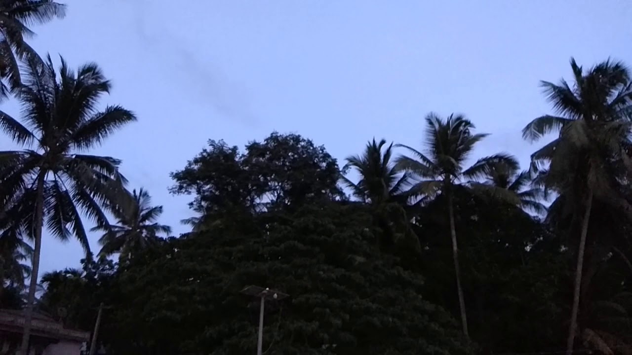 High flying pigeon Parava pravu Aaa 84 - YouTube