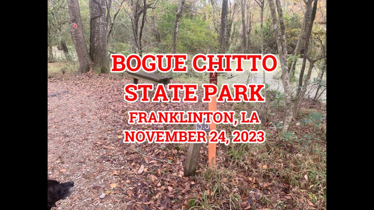 Bogue Chitto State Park- Gorge Run Trail - YouTube