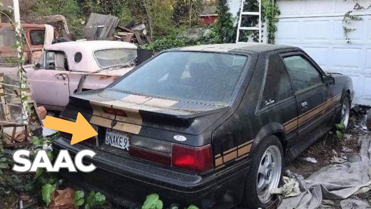 Unbelievable SAAC Mustangs - Unlike Anything You've Seen Before - YouTube