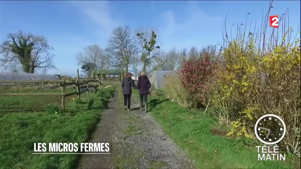 Sciences - Micro ferme bio et rentabilité - 2016/04/13 - YouTube