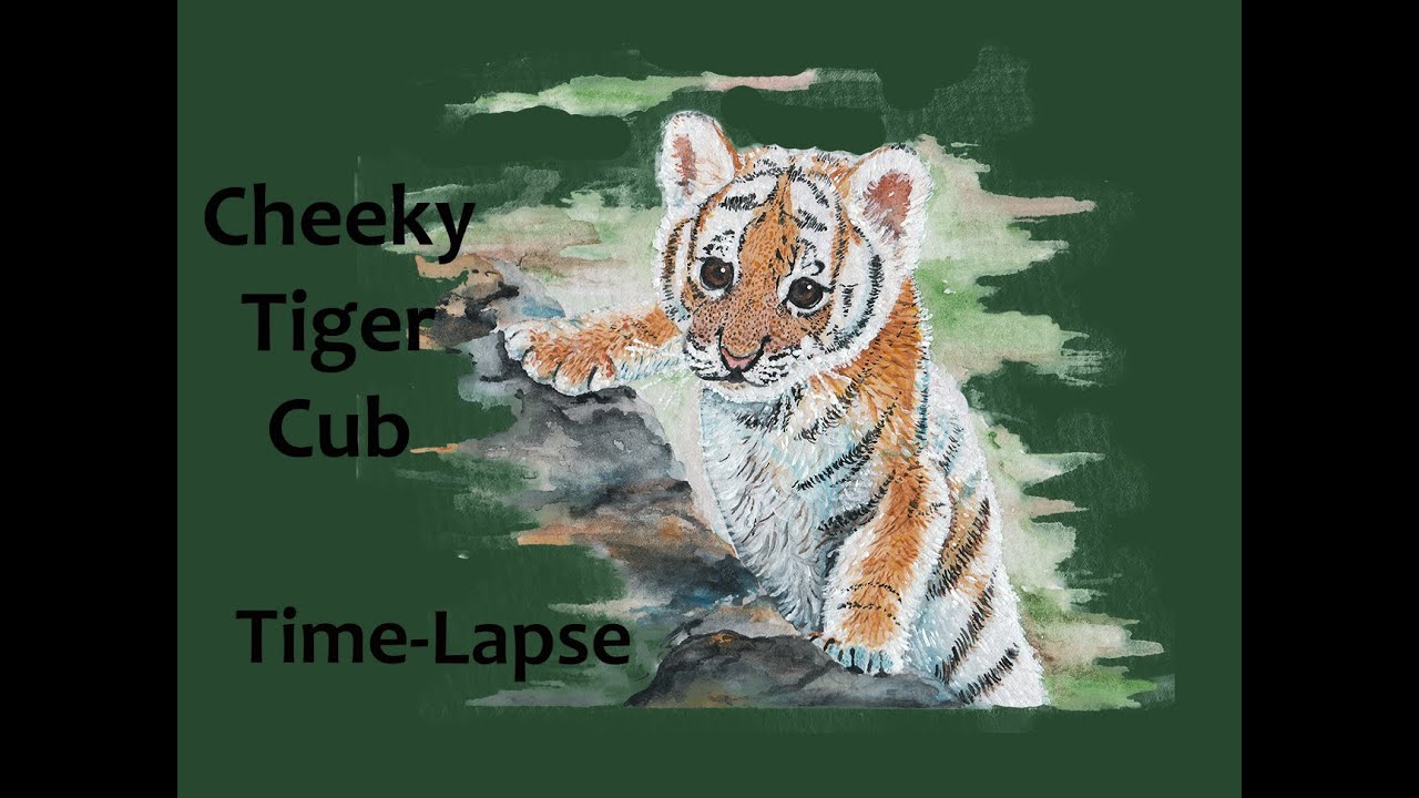 Cheeky Tiger Cub Painting! Fine Art Time lapse - Watercolours & Acrylic ...