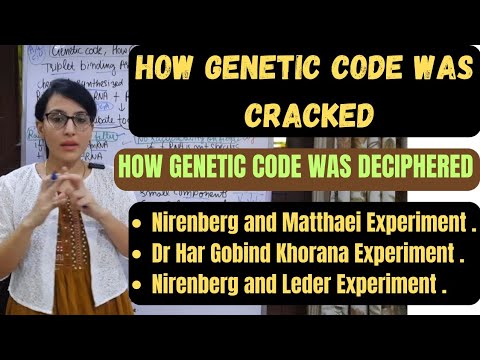 How genetic code was cracked || Nirenberg and Matthaei Experiment ...