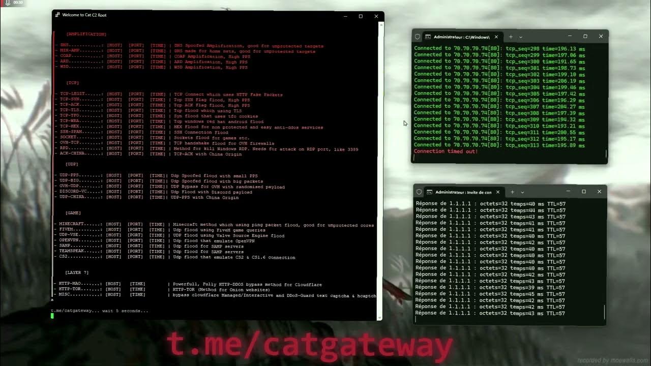 CAT C2 L4 SHOWCASE | BEST C2/BOTNET/API 2025 - YouTube