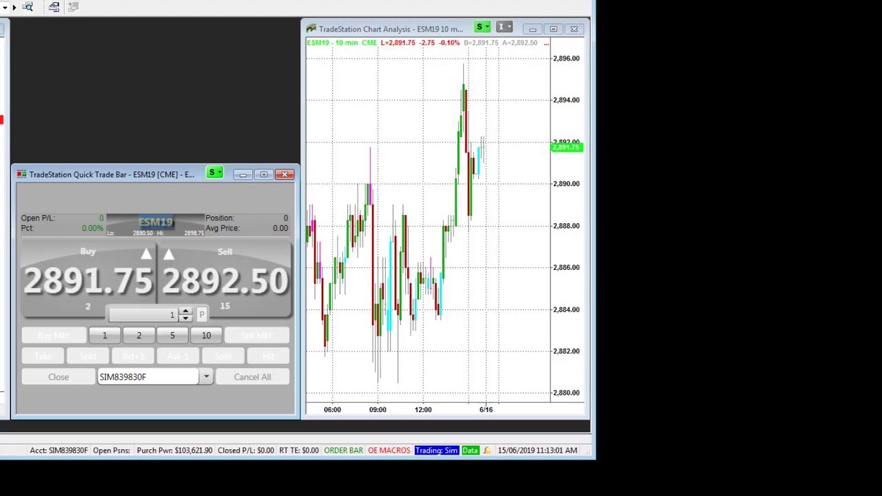 The Pip Factory Live Stream - YouTube