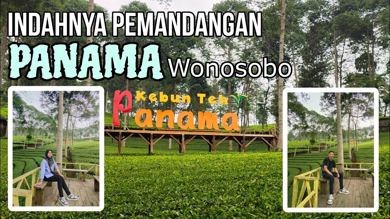 JALAN JALAN KEBUN TEH PANAMA / WISATA WONOSOBO / KEBUN TEH WONOSOBO ...
