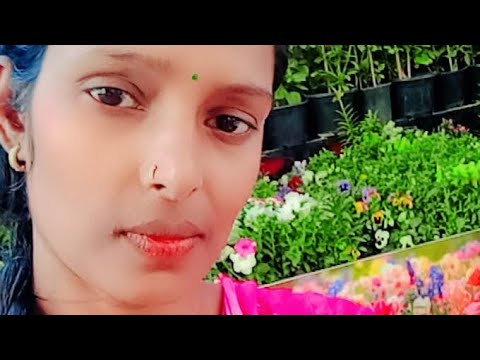 neelam rawat is live - YouTube
