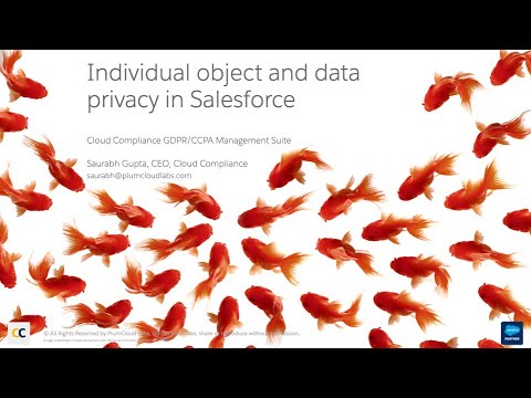 Individual object and data privacy in Salesforce - YouTube
