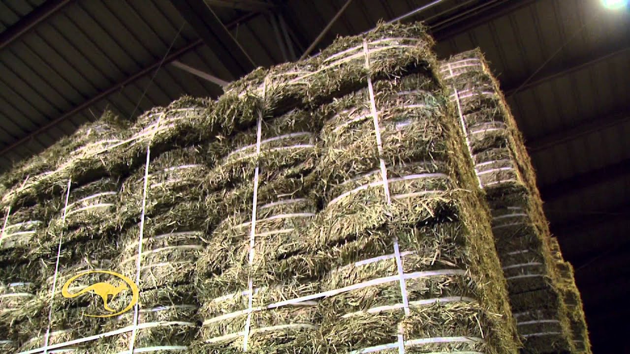 Clinton Anderson Visits Standlee Hay Company - YouTube