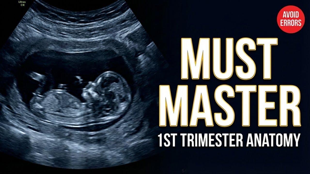 Inside the 1st Trimester Ultrasound: Fetal Anatomy Explained - YouTube