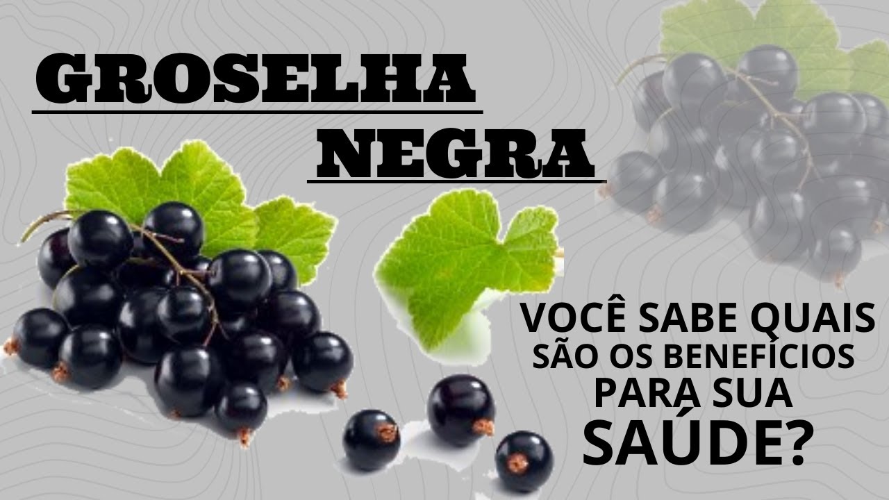 GROSELHA NEGRA! - YouTube