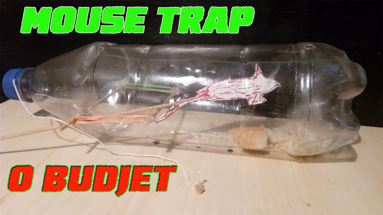 How To Make Mouse Trap Easy Way - YouTube