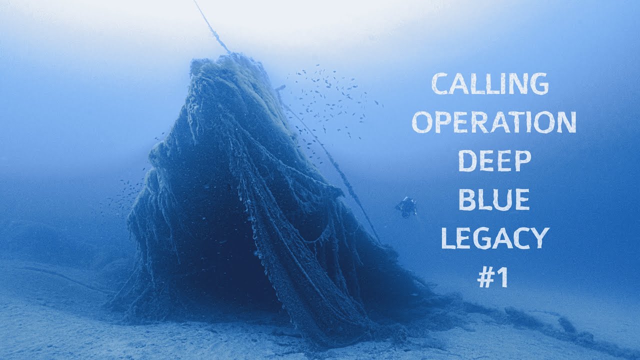Calling Operation Deep Blue Legacy! 📞 🌊 #VideoCall #HighSeas #Med - YouTube
